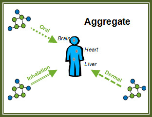 Exposure Assessment Tools by Tiers and Types - Aggregate and Cumulative ...