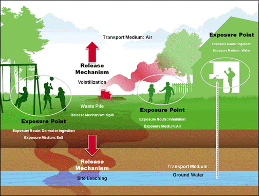 Contaminant Fate, Transport & Exposure | US EPA Contaminant Fate, Transport & Exposure | US EPA