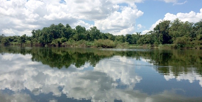 EPA Research Supports National Estuary Program | US EPA