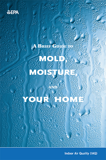 Mold Information Slideshow | US EPA