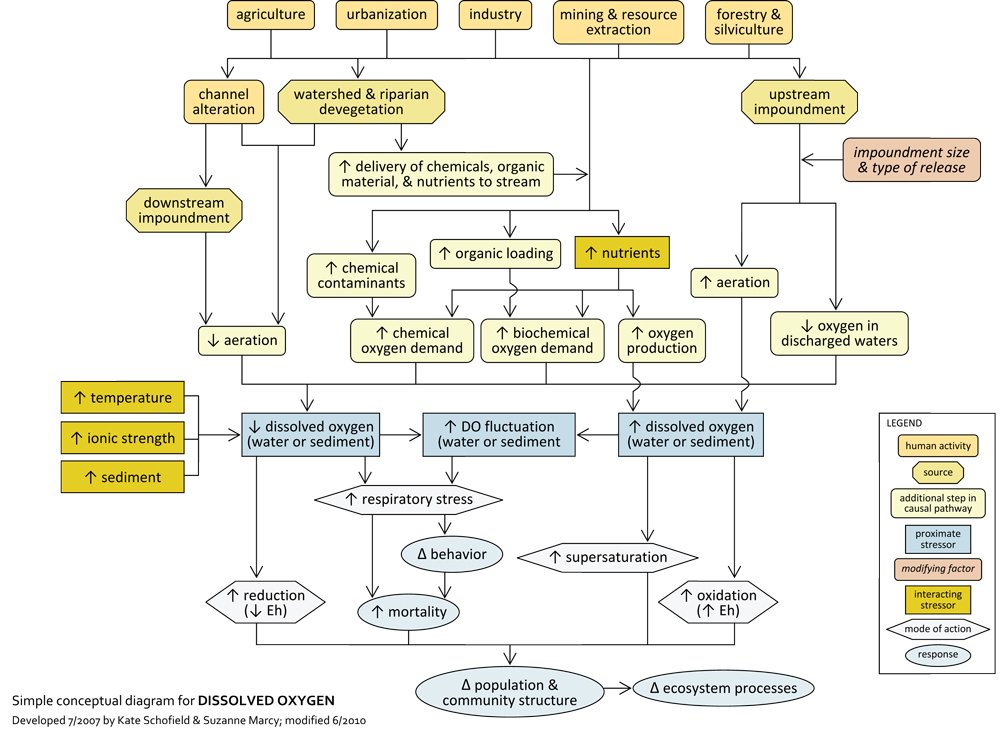 Dissolved Oxygen | US EPA
