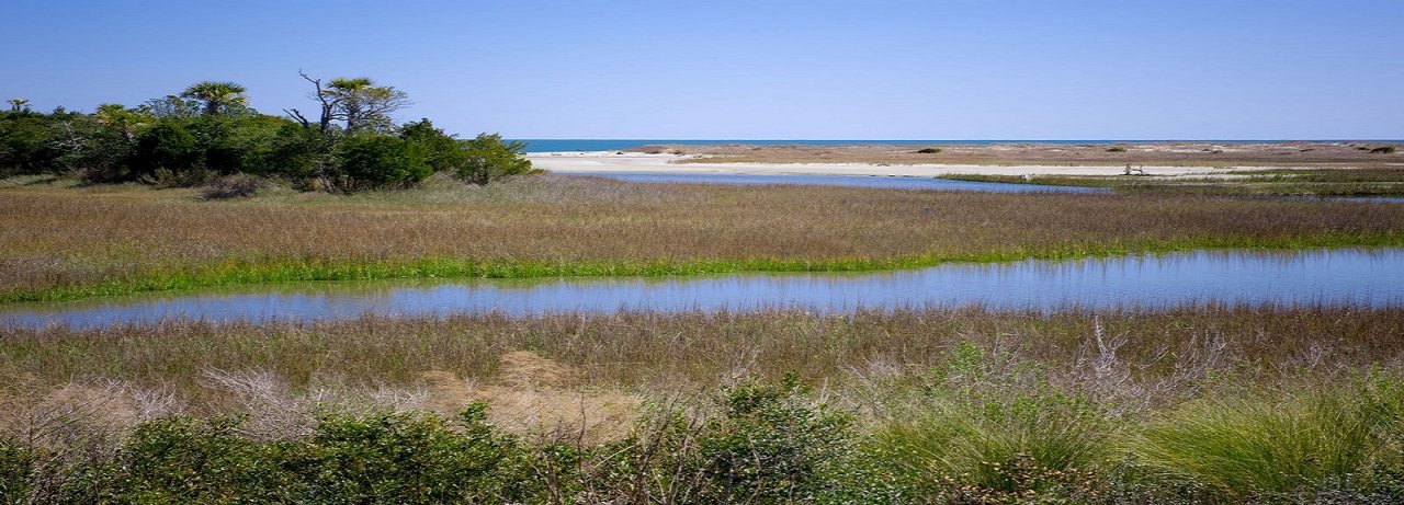Wetlands Protection and Restoration | US EPA