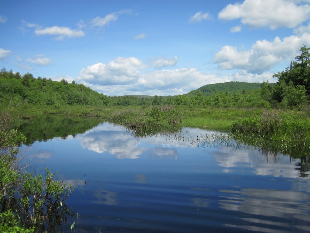 Maine's Comprehensive Wetland Program is Built Upon Monitoring ...