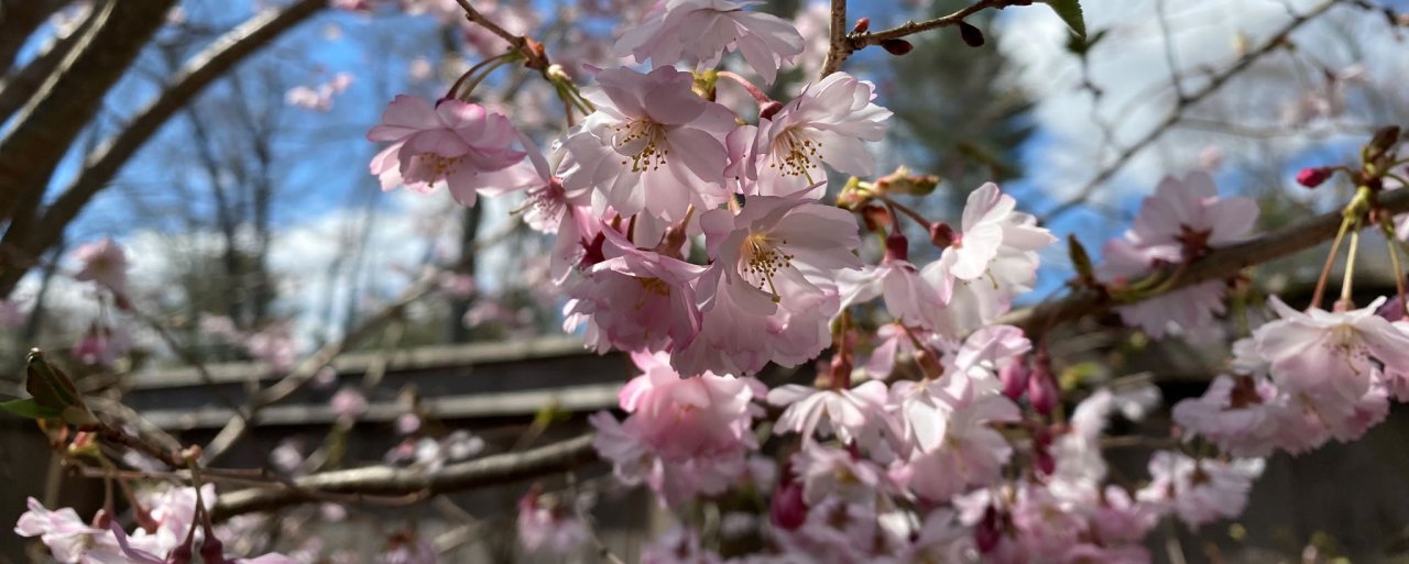 EPA Region 1 (New England) | US EPA