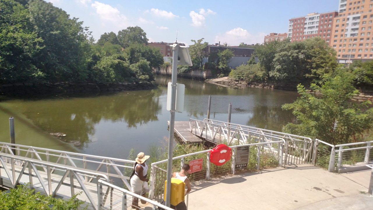 A Day in the Life of the Bronx River | US EPA