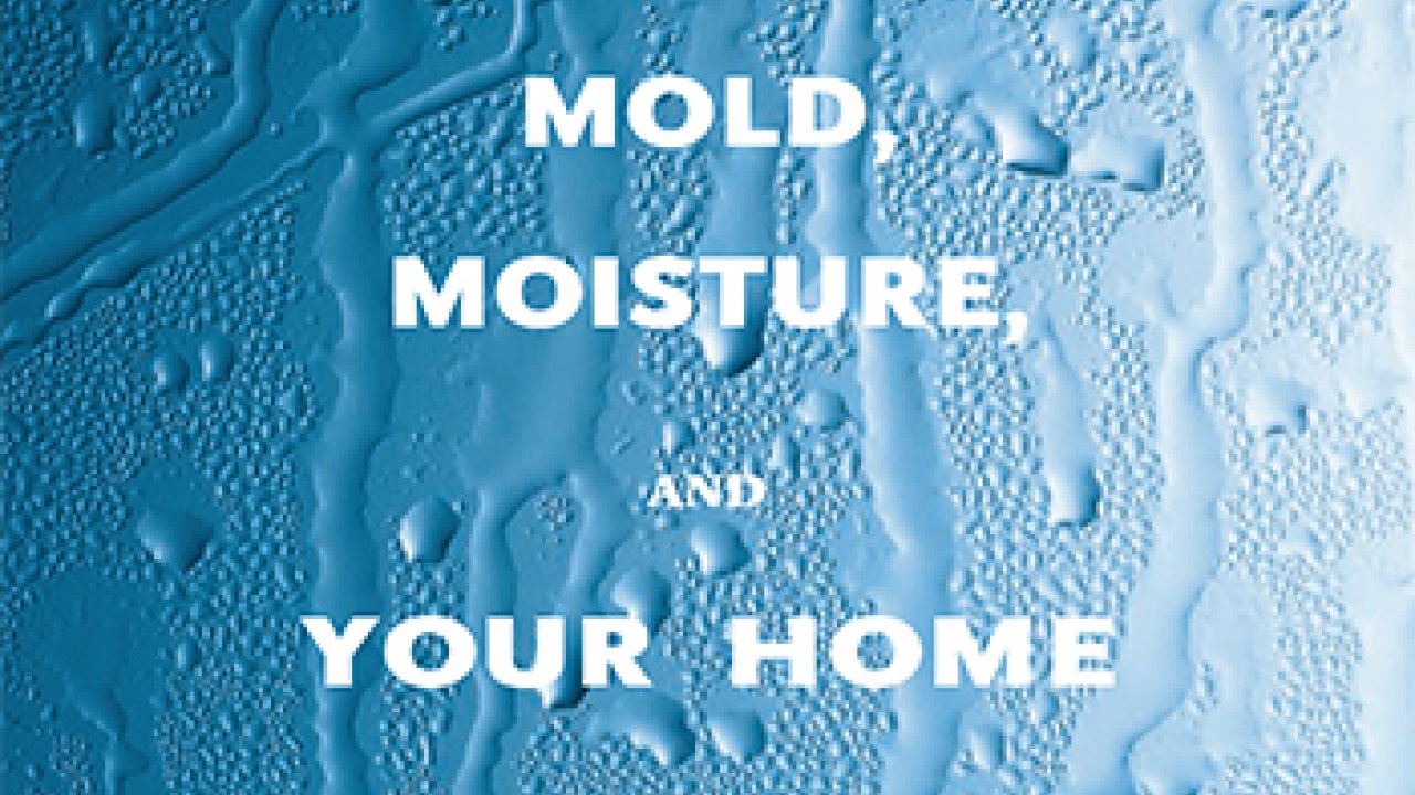 Mold Information Slideshow | US EPA