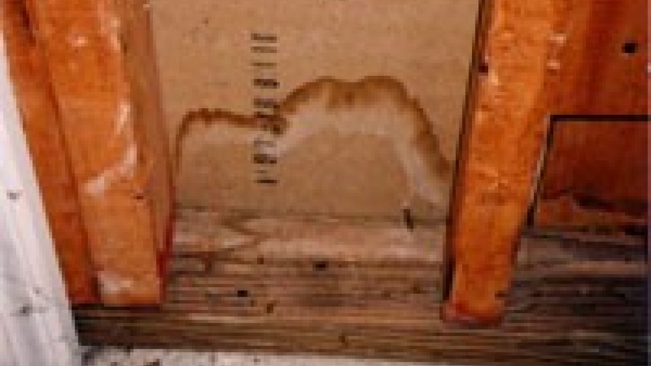 Mold Information Slideshow | US EPA