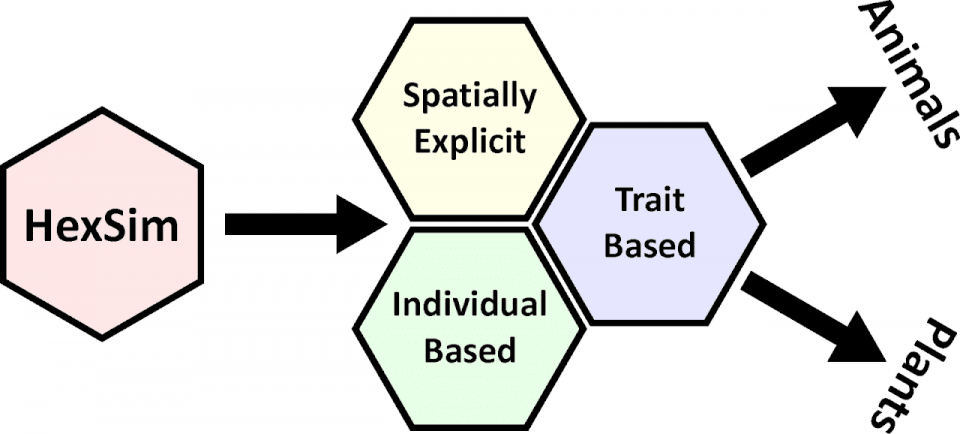 HexSim Modeling Simulator Tool (HexSim) | US EPA