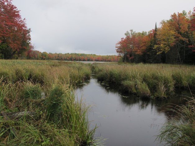 Nonpoint Source: Wetland/Riparian Management | US EPA