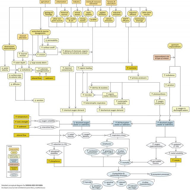 Dissolved Oxygen | US EPA