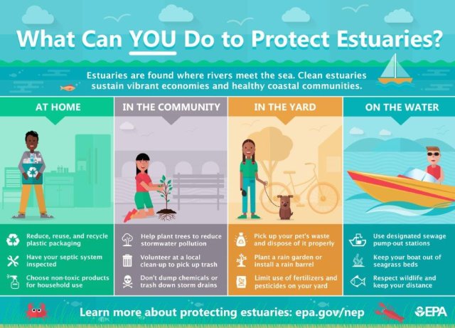 What You Can Do to Help Protect our Coastal Watersheds and Estuaries ...