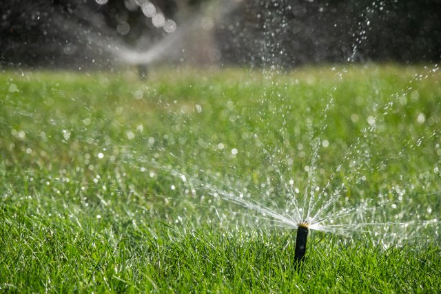 Turfgrass and Water Efficiency | US EPA