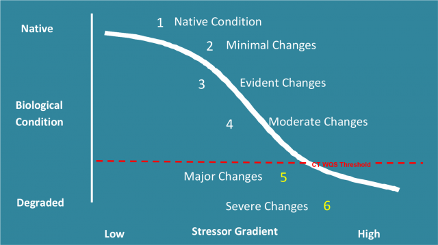 Bioassessment and Biocriteria Program Status for Connecticut: Streams ...