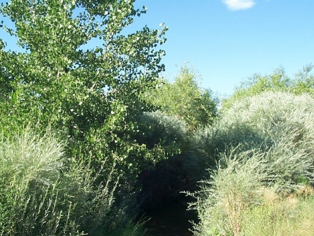 Polluted Runoff: Nonpoint Source (NPS) Pollution | US EPA