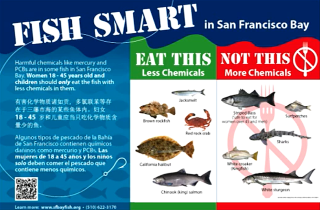 Fish Consumption Advisories | US EPA