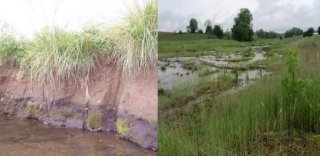 Stream Restoration Project Shows Benefits of Removing Legacy Sediments ...