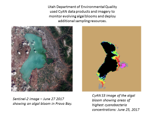 The Cyanobacteria Assessment Network – Recent Success in Harmful Algal Bloom Detection | US EPA