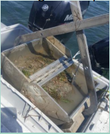 Benthic Indicator Research | US EPA