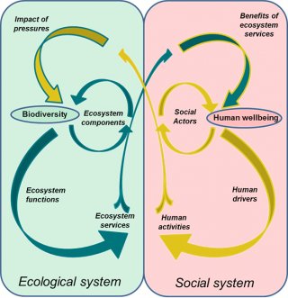 Ecosystem-Based Management | US EPA