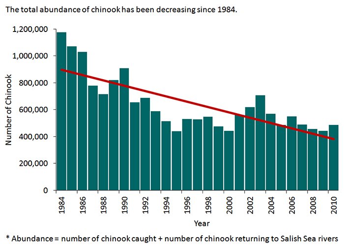 Chinook Salmon | Health of the Salish Sea Ecosystem Report | US EPA