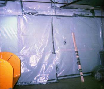 Mold Course Chapter 5: | Mold | US EPA