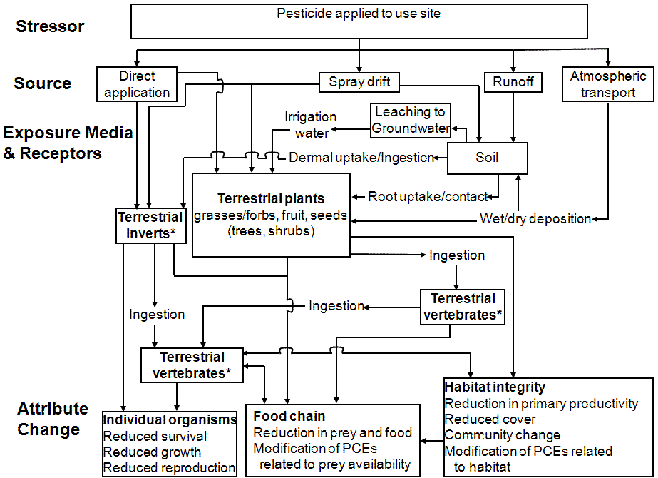 Guidance for the Development of Conceptual Models for a Problem ...
