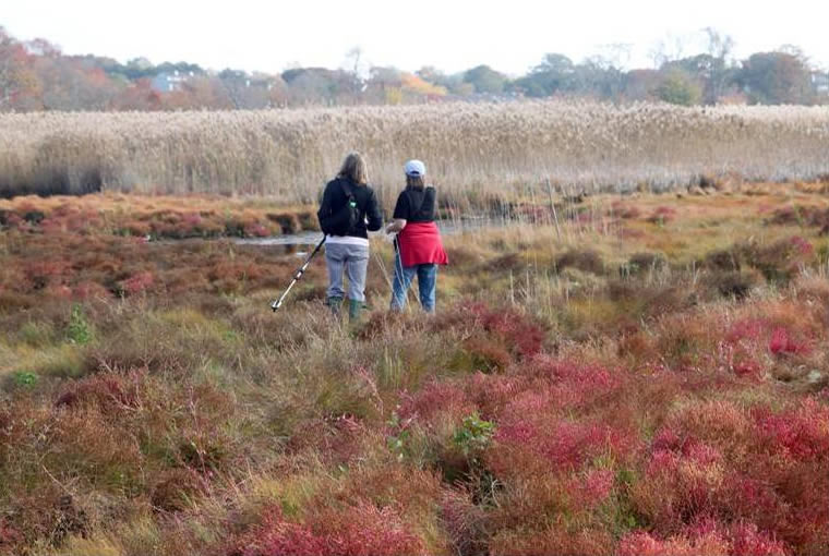 Photo Gallery for the Southeast New England Program | Southeast New ...