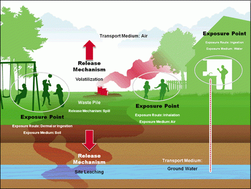 Contaminant Fate, Transport, and Exposure | Homeland Security Research | US EPA