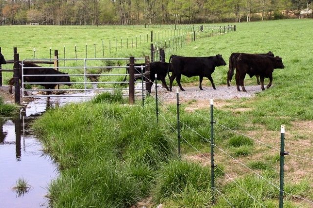 EPA Funds Projects to Improve Farms, Protect Water Quality | EPA in ...