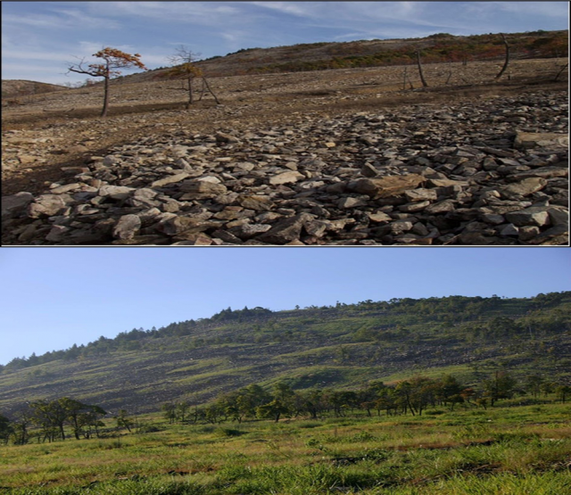 Superfund's 40th Anniversary - A Look-Back at the Decades | Superfund ...