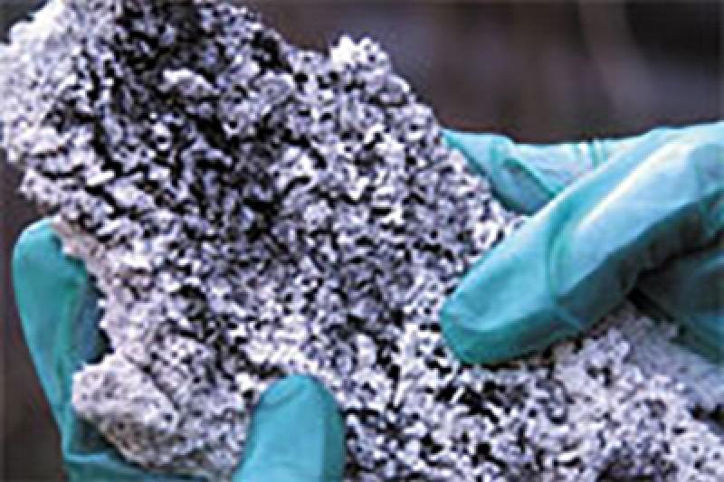 Mold Information Slideshow | Mold | US EPA