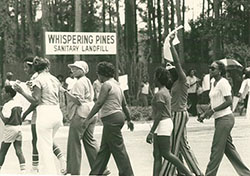 Environmentalism 1960s