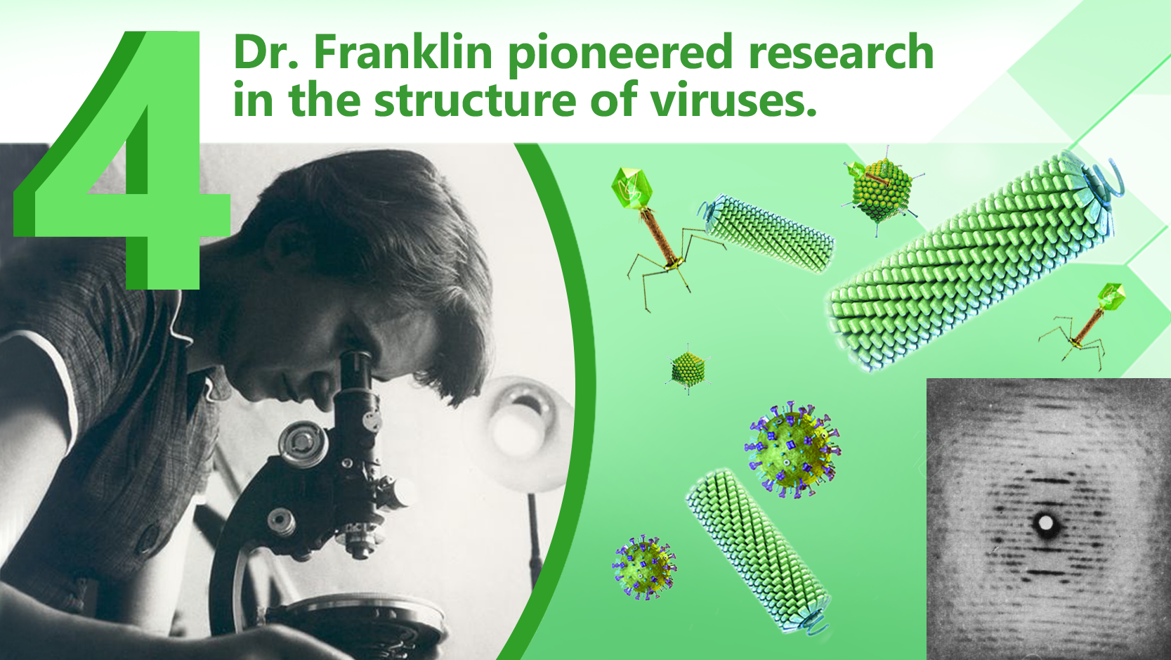 Women in Radiation History: Rosalind Franklin | US EPA
