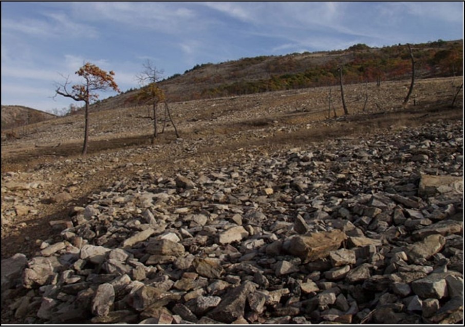 Superfund's 40th Anniversary - A Look-Back at the Decades | US EPA