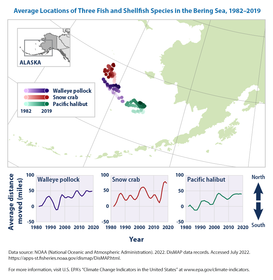 Climate Change Indicators: Marine Species Distribution | US EPA
