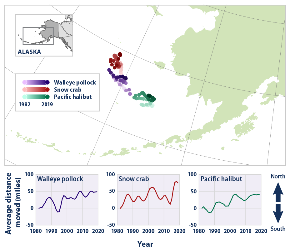 Fish Population Graph