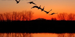 San Francisco Bay Delta Watershed | US EPA