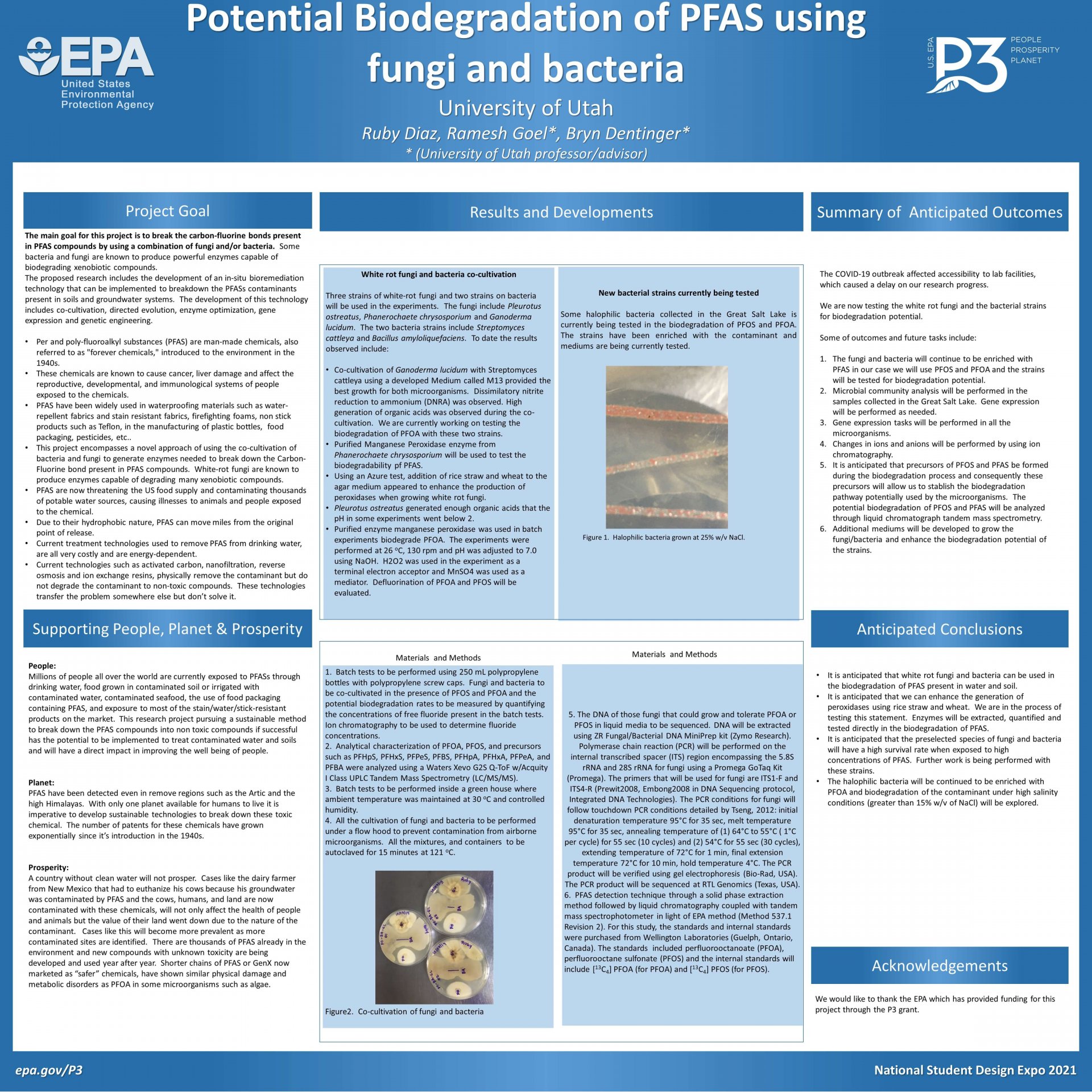 2021 P3 Expo - Biodegradation of PFASs from Groundwater and Soil | US EPA