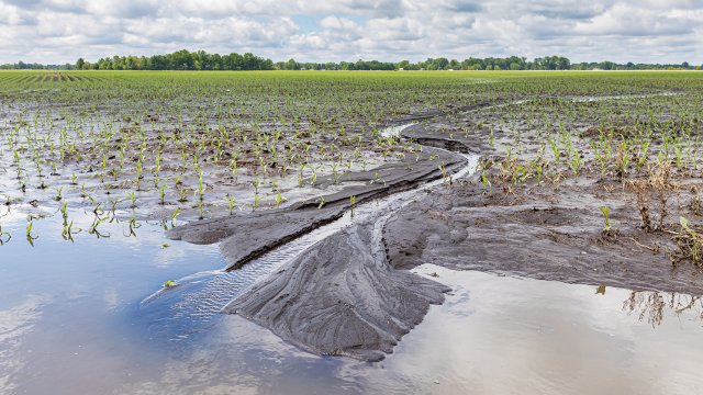 Climate Change Impacts on Agriculture and Food Supply | US EPA Climate Change Impacts on Agriculture and Food Supply | US EPA