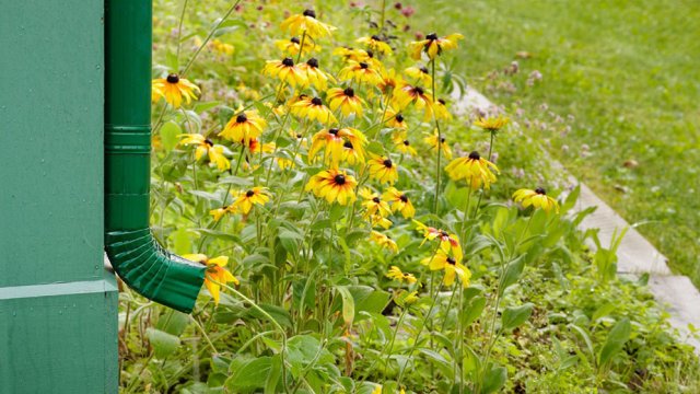 Types of Green Infrastructure | US EPA