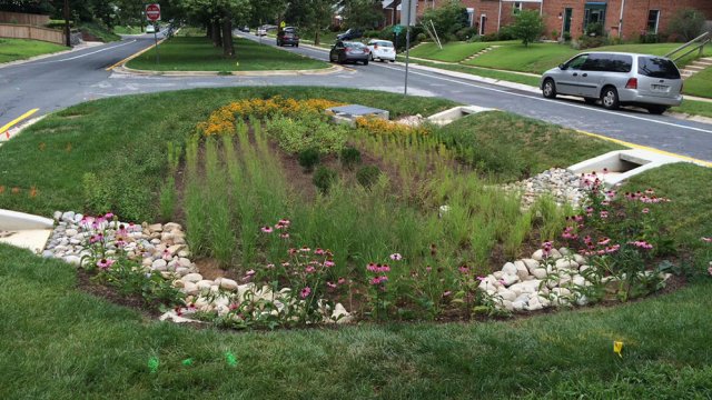 Types of Green Infrastructure | US EPA