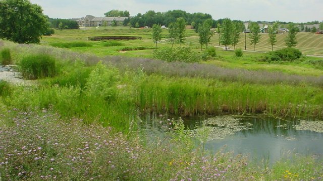 Types of Green Infrastructure | US EPA