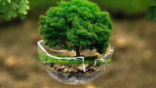 EPA in Georgia | US EPA