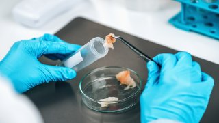 Choose Fish and Shellfish Wisely | US EPA