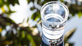 EPA Science Matters Newsletter | US EPA