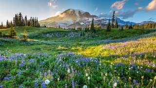 EPA in Washington | US EPA