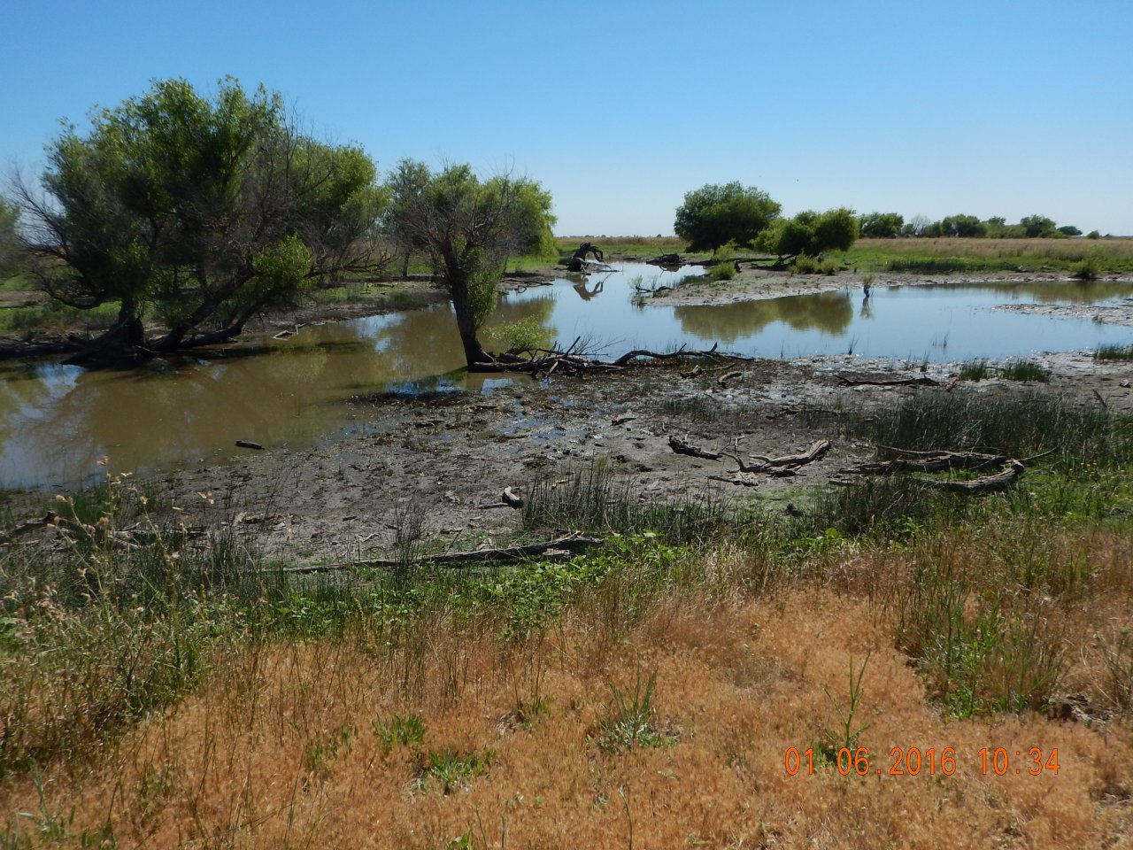 Xeric Ecoregion - National Wetland Condition Assessment Results | US EPA