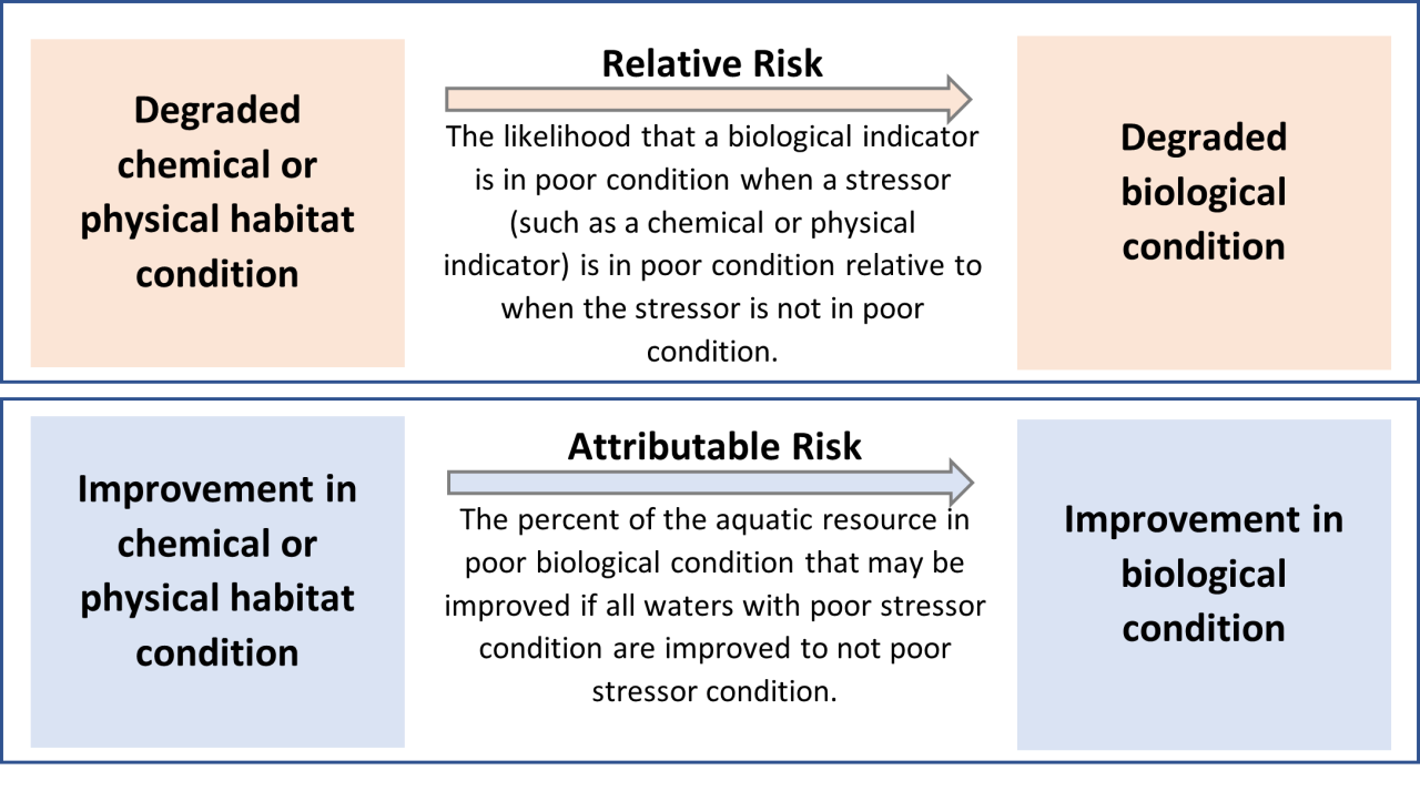 Relative Extent, Relative Risk and Attributable Risk | US EPA