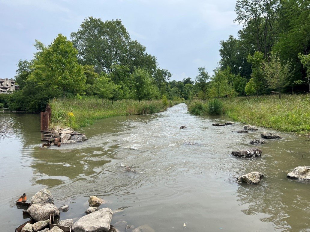 Rouge River AOC | US EPA