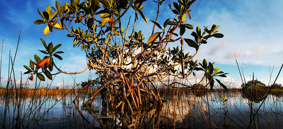 Climate Change Connections: Florida (The Everglades) | US EPA